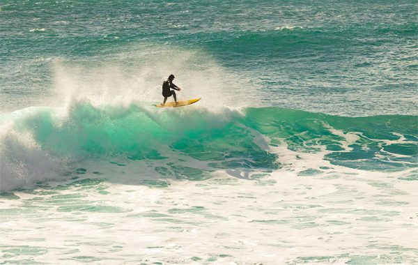 Explore | Tree Chalets