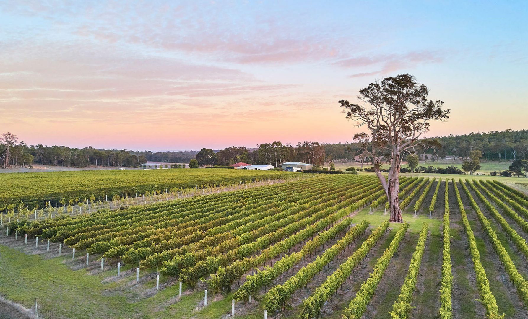 Explore | Tree Chalets